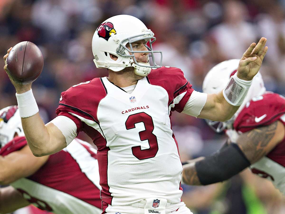 carson palmer 2016