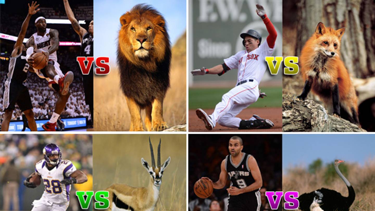 Four (Imaginary) Athlete-Animal Races - SI Kids: Sports News for Kids ...